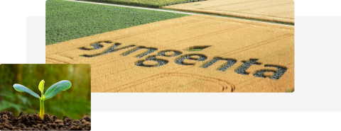 Acerca de Syngenta | Syngenta