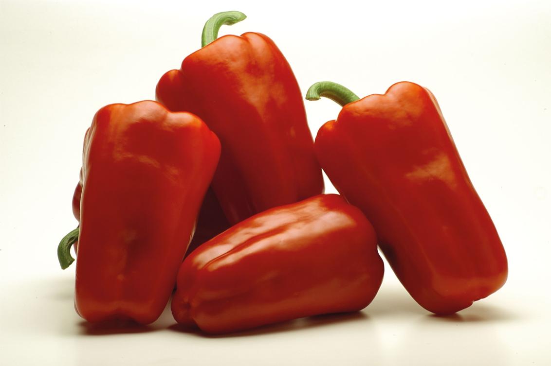 Bilano - Variety Pimiento | Syngenta